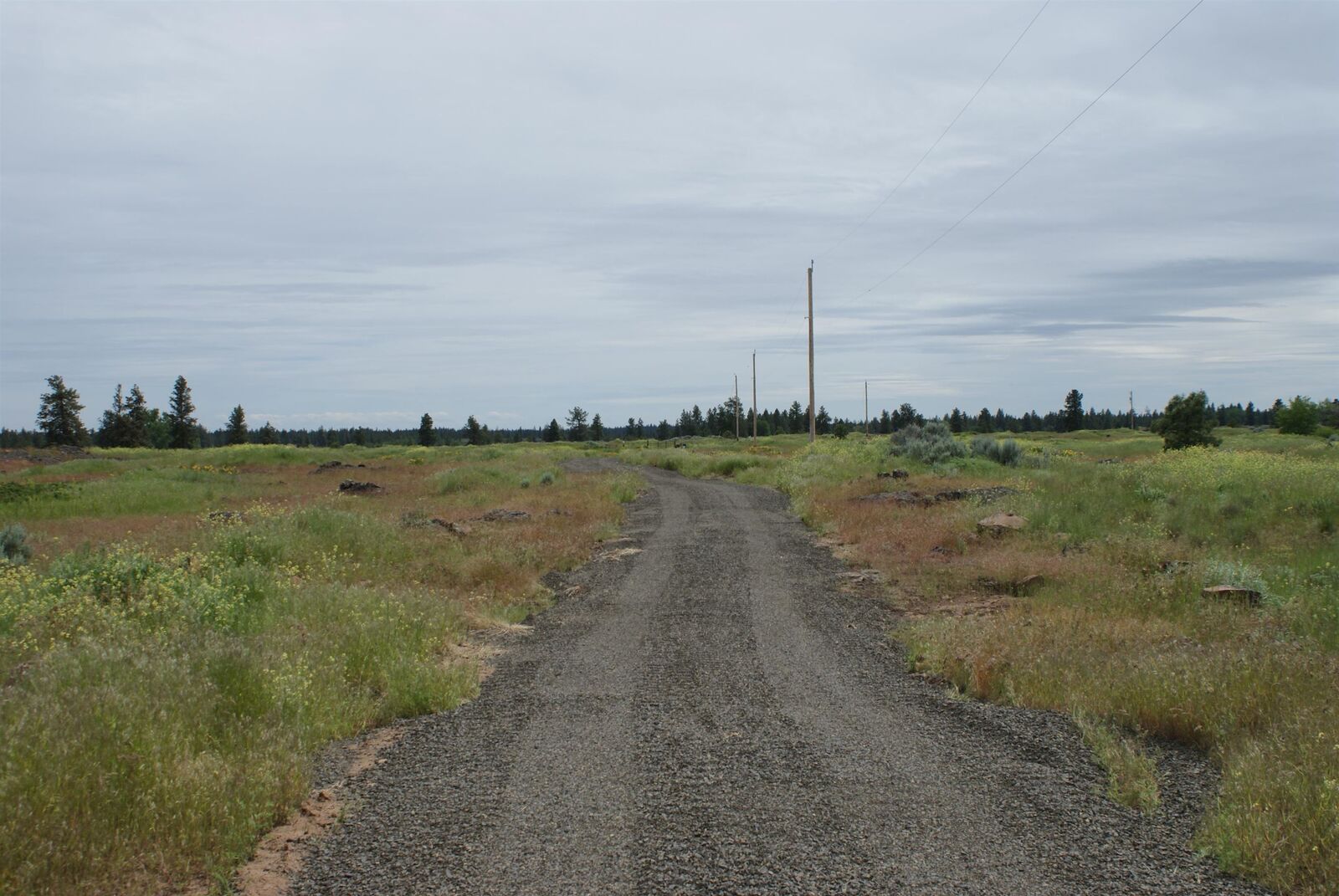 MLS#202419626: 0 Vacant Land Rd, Edwall, WA 99008