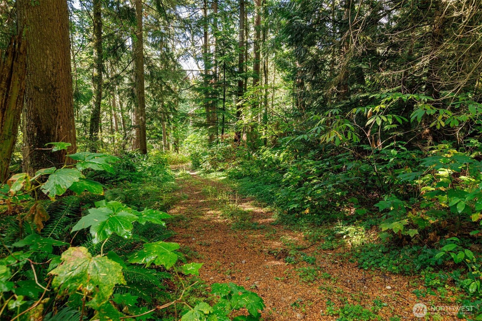 MLS#2441134: 5326 Reese Hill Road, Sumas, WA 98295